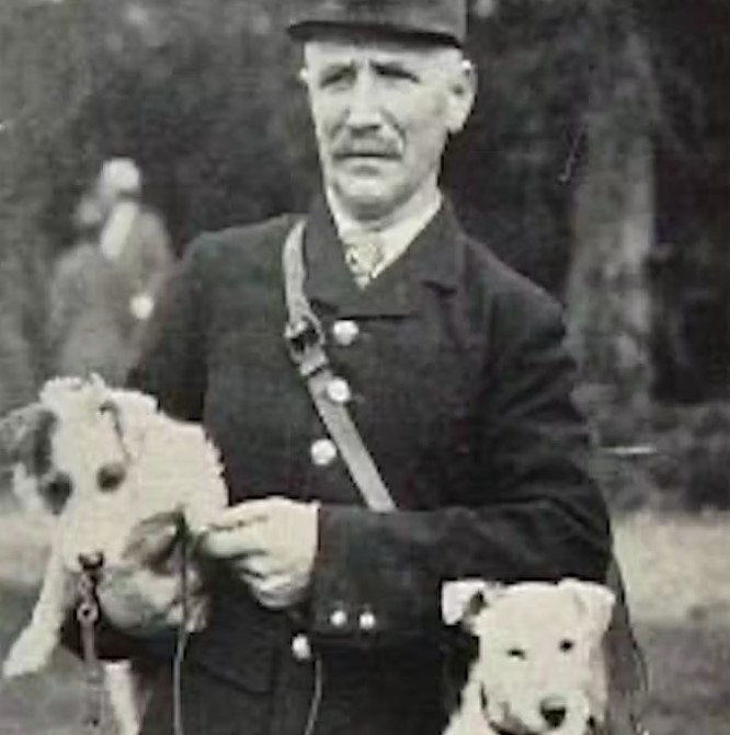 Todo sobre la raza de perro Jack Russell Terrier: Características y Cuidados